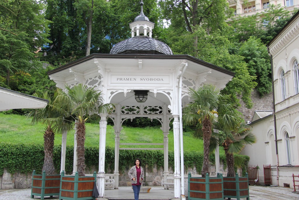 Gallery | Dr. Huma Mir